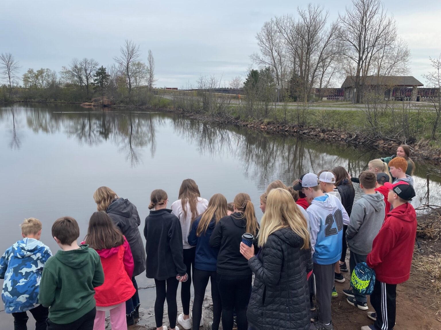 Negaunee Middle School students release Chinook salmon fry into Dead River